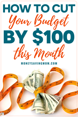 How to Cut Your Budget By $100 This Month | Money Saving Mom®