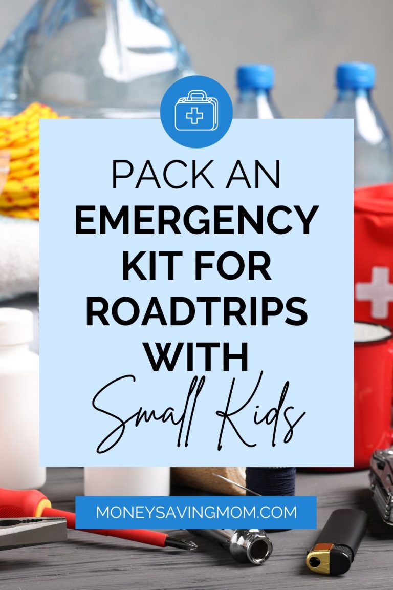 How to Have a Successful Road Trip With Young Children: Pack an ...