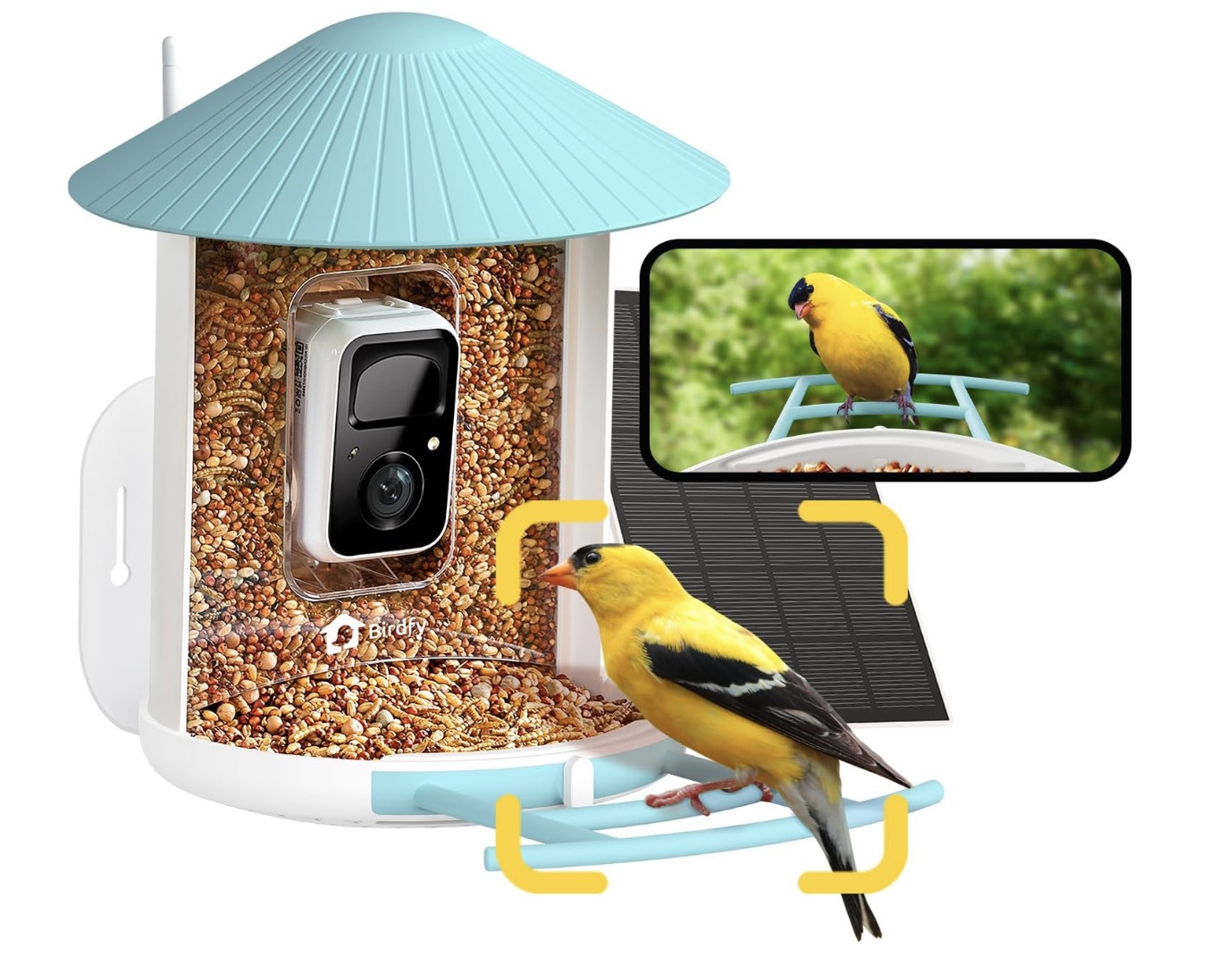 *HOT* Birdfy Smart Bird Feeder only $99.99 shipped + $30 Kohl's Cash ...