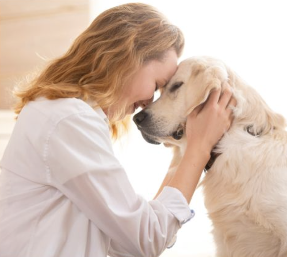 How to Save on Pet Supplies (25 Ideas!) | Money Saving Mom®