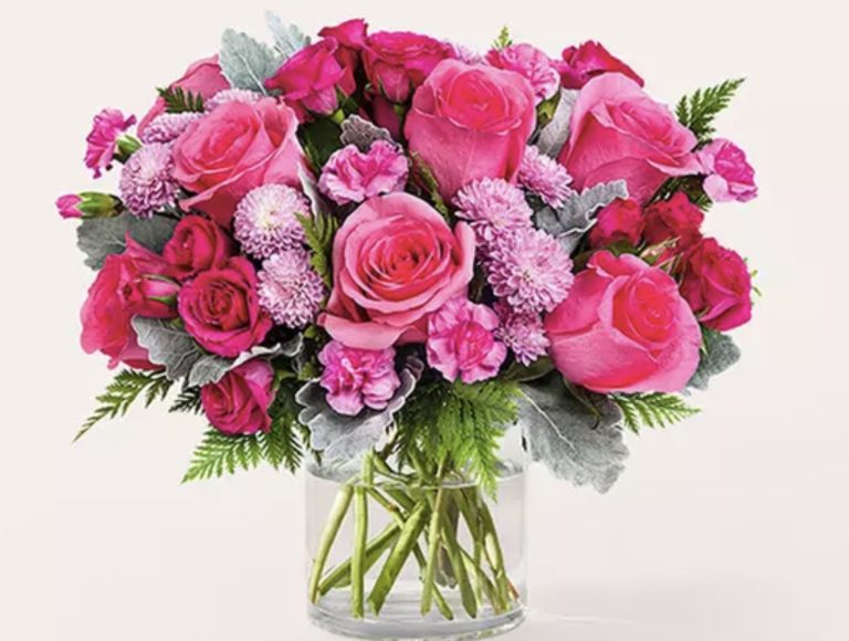 *HOT* ProFlowers Valentine's Day Fresh Flower Bouquet Discounts ...